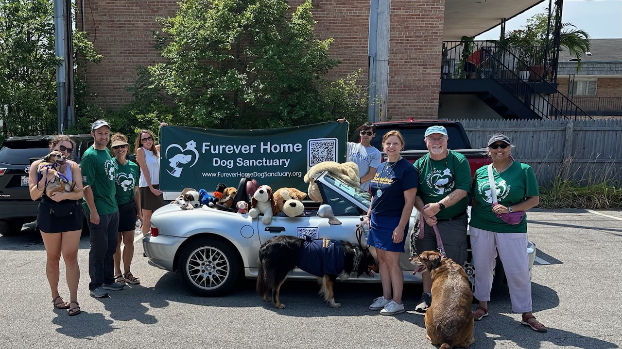 Furever Home Dog Sanctuary